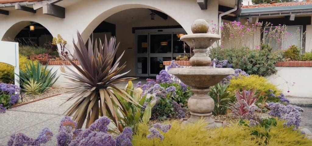 PACS - Healthcare Elevated