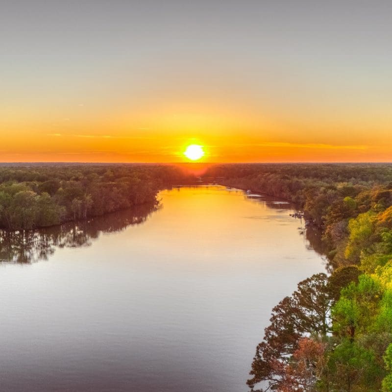 PACS Jobs in South Carolina