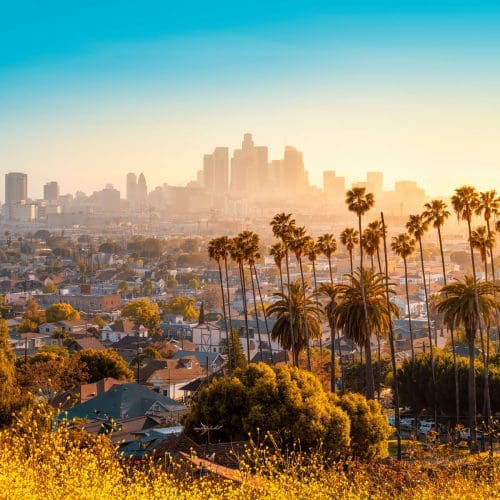 PACS Jobs in Los Angeles